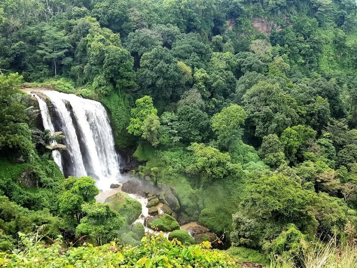 Rekomendasi Wisata di Sukorejo Kendal yang Menarik untuk Wisatawan
